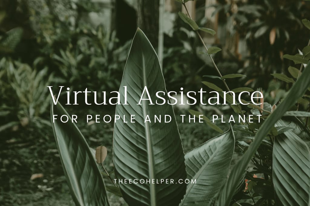 Impact-Driven Virtual Assistance | the Eco Helper